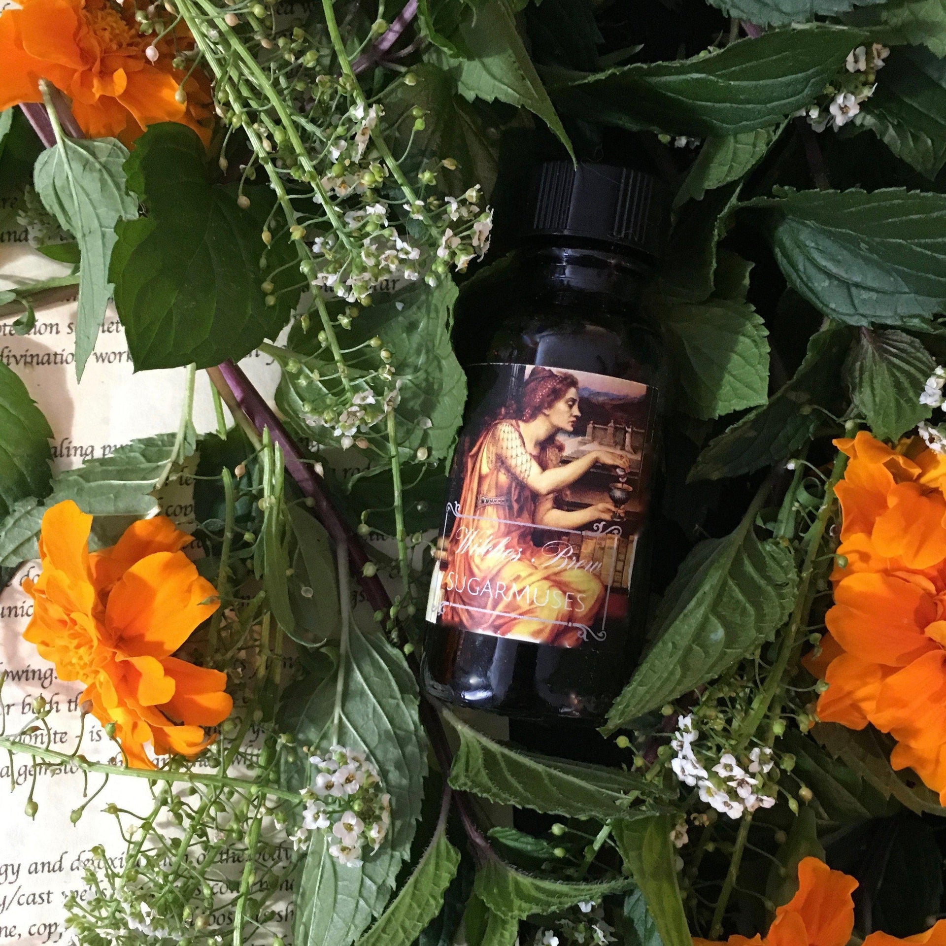 Witches Brew Perfume Oil – SugarMuses® MidnightMuses™